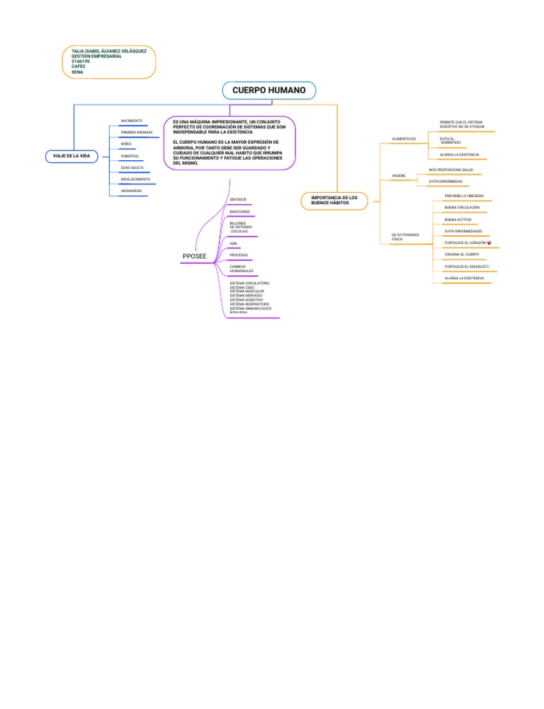 Mapa Sobre El Cuerpo Humano | PDF | Cuerpo humano | Biología