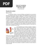 Cápsula de Glisson | PDF | Tejido adiposo | Riñón