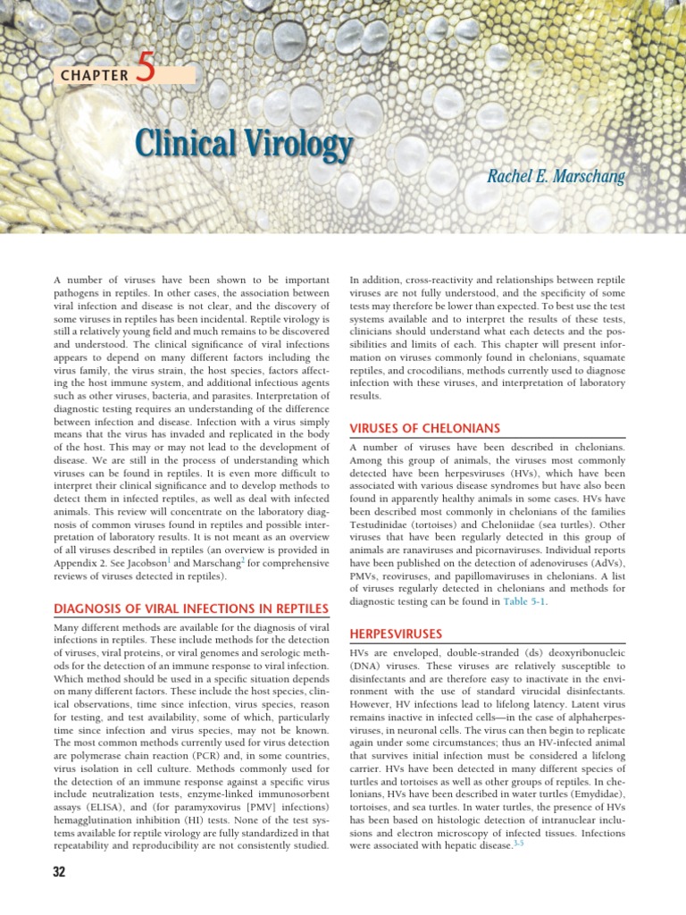 Clinical Virology | PDF | Infection | Virology