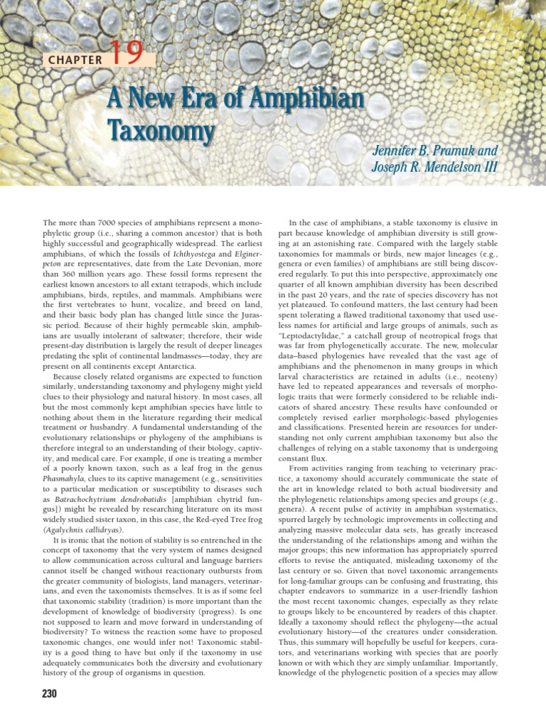 A New Era of Amphibian Taxonomy | Download Free PDF | Amphibian ...