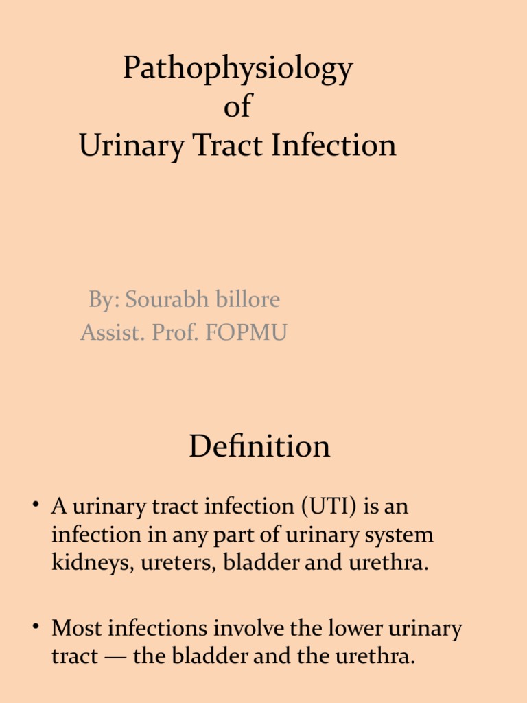 Pathophysiology of Urinary Tract Infection | PDF