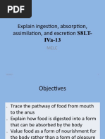 Grade 8 Digestive System | PDF