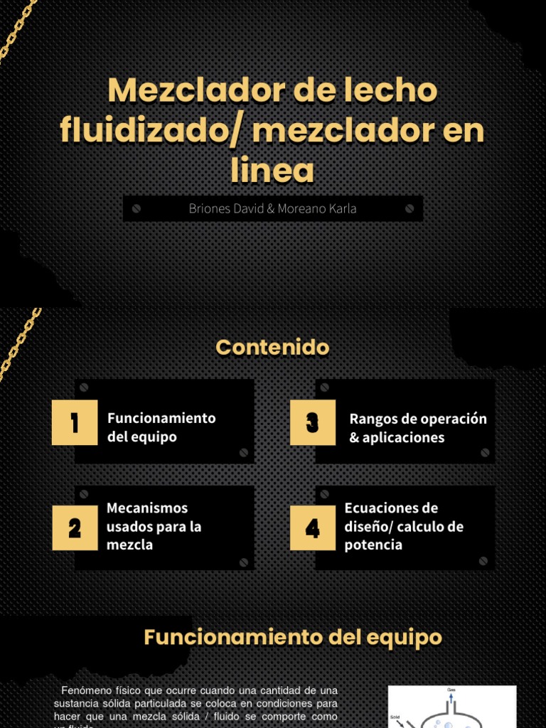 Mezclador de Lecho Fluidizado y Mezclador en Linea | PDF | Ingeniería Química | Ciencias fisicas