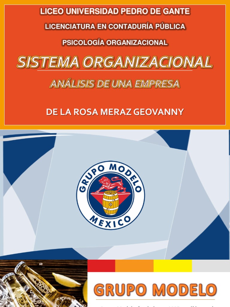 Análisis Organizacional - de La Rosa Meraz Geovanny - CP | PDF ...