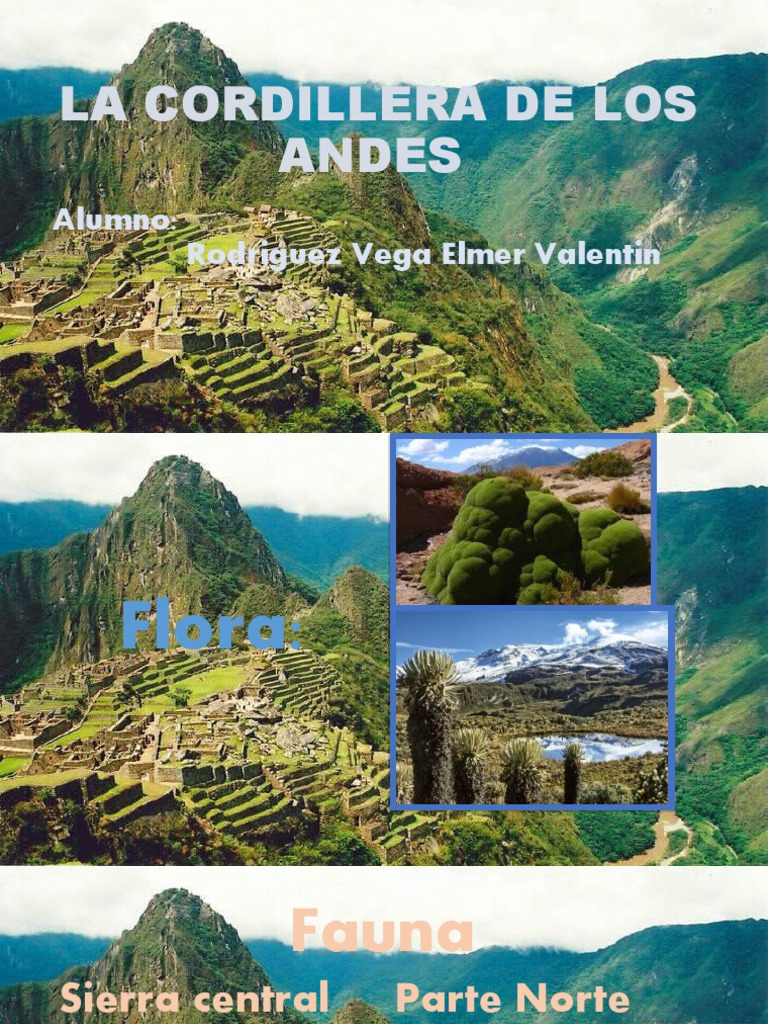 La Cordillera de Los Andes | PDF