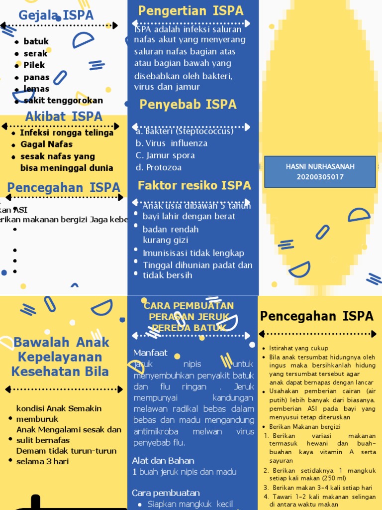Leaflet Ispa DX1 Kelolaan | PDF