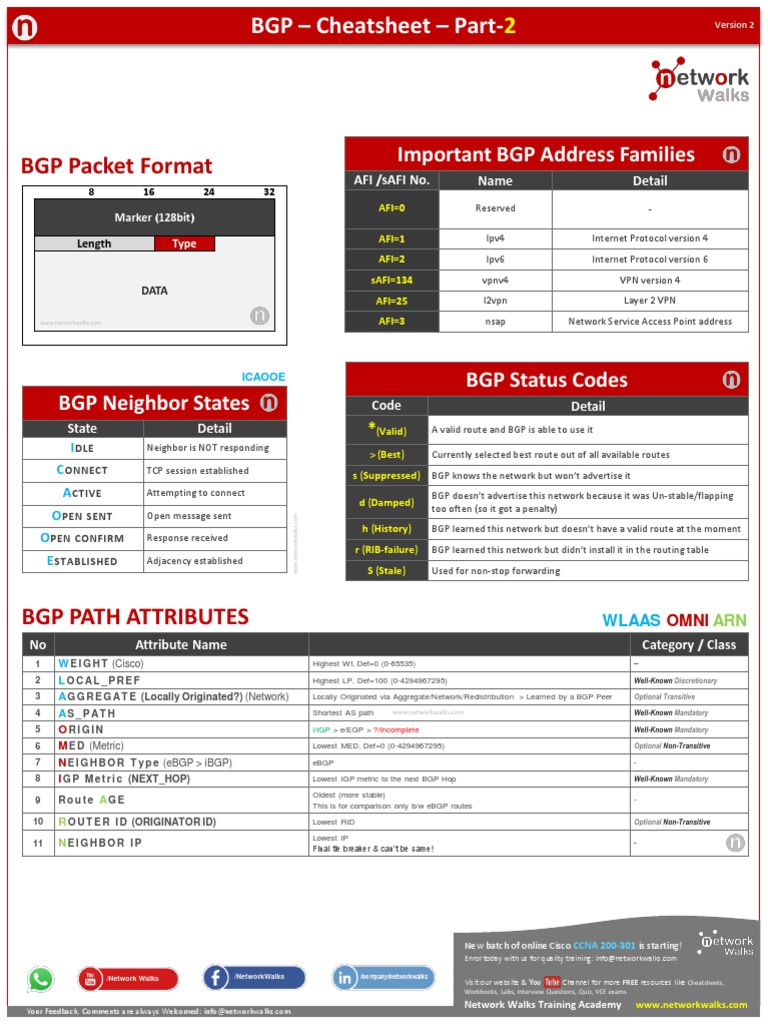 BGP Packet Format: Important BGP Address Families | PDF | I Pv6 ...