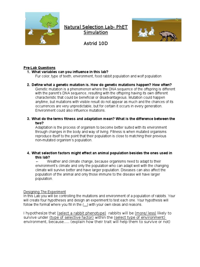 PhET Natural Selection Lab Guide | PDF | Dominance (Genetics) | Natural ...