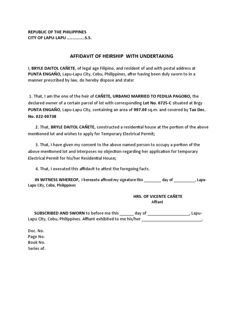 Affidavit of Consent With Undertaking | PDF