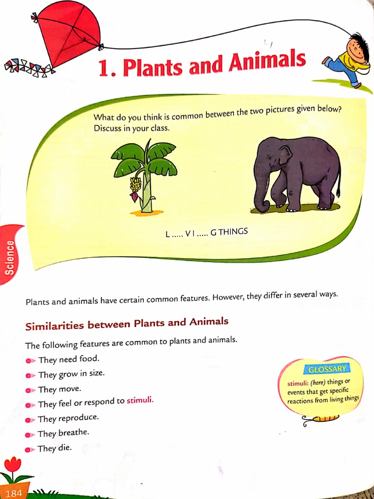 Class 5 Science | PDF