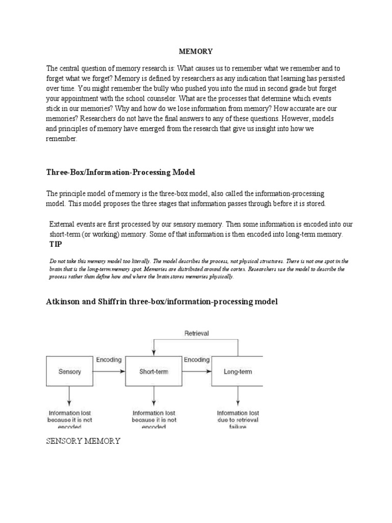 Atkinson and Shiffrin Three-Box/information-Processing Model | Download ...