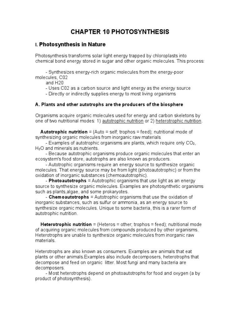 Chapter 10 Photosynthesis | PDF | Photosynthesis | Chlorophyll