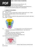 Class-6-Science-chapter-1-The-Wonderful-World-of-Science | PDF ...