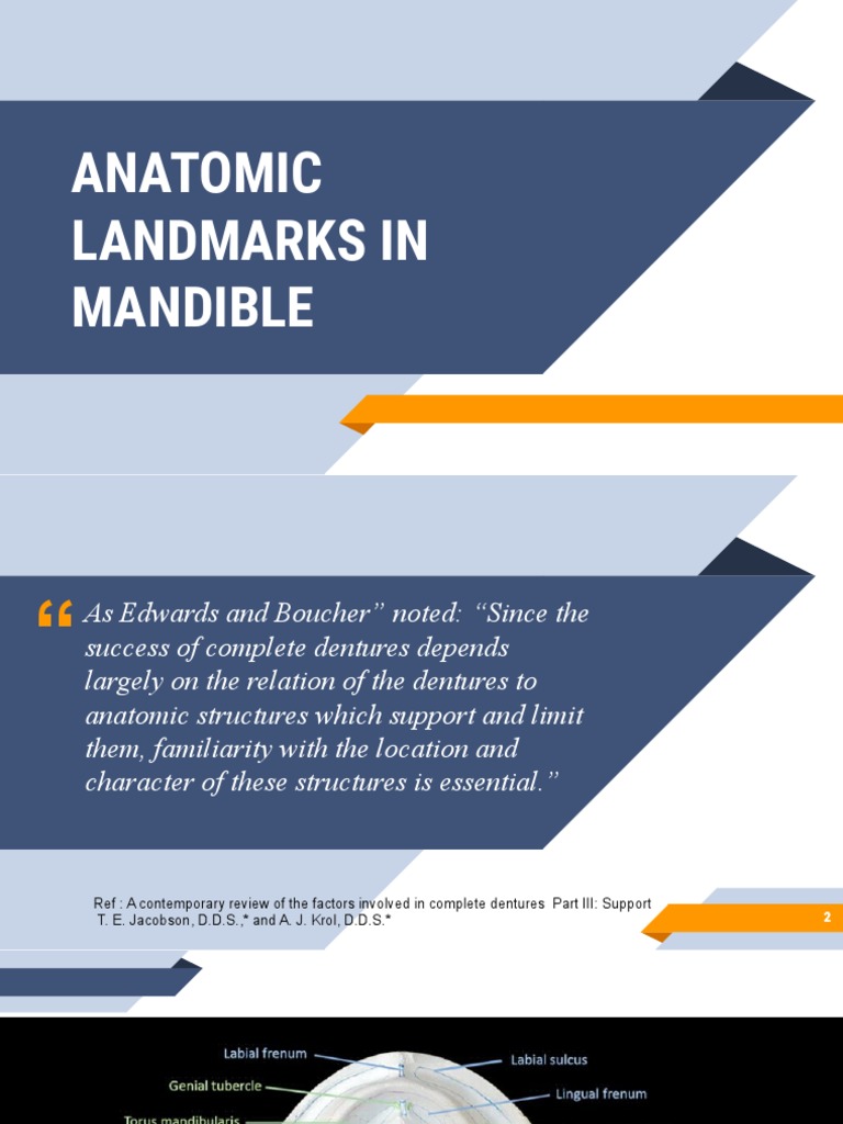 Anatomic Landmarks - Mandible | PDF | Tongue | Dentures