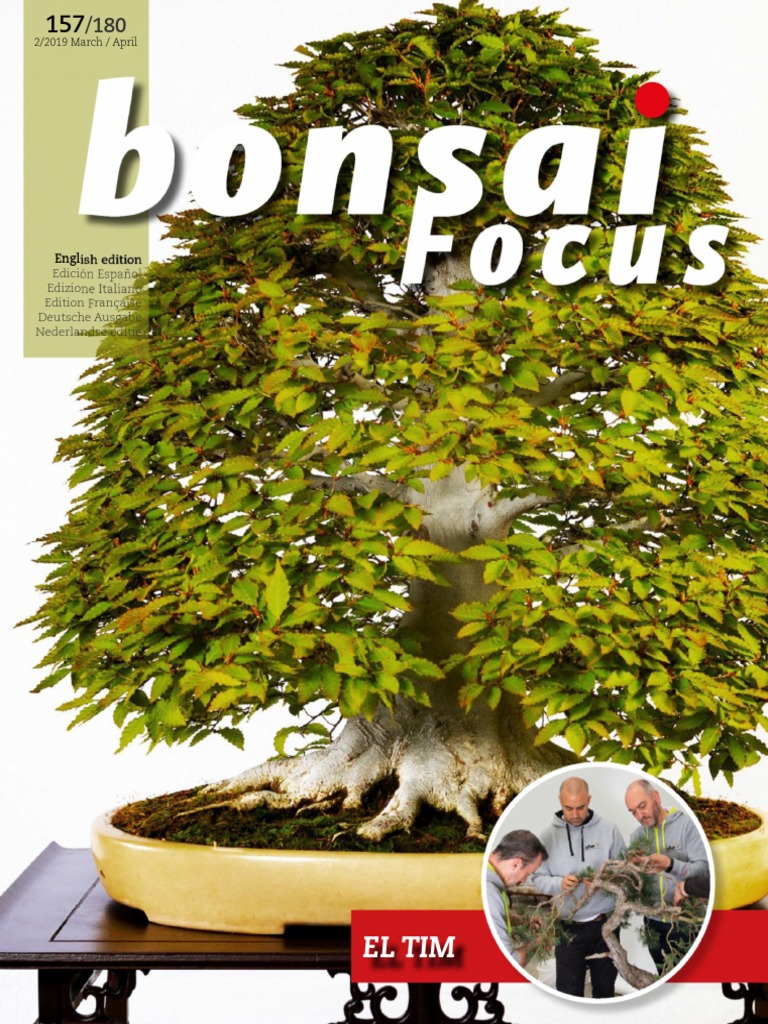 Bonsai Focus 157 | PDF | Bonsai | Trees