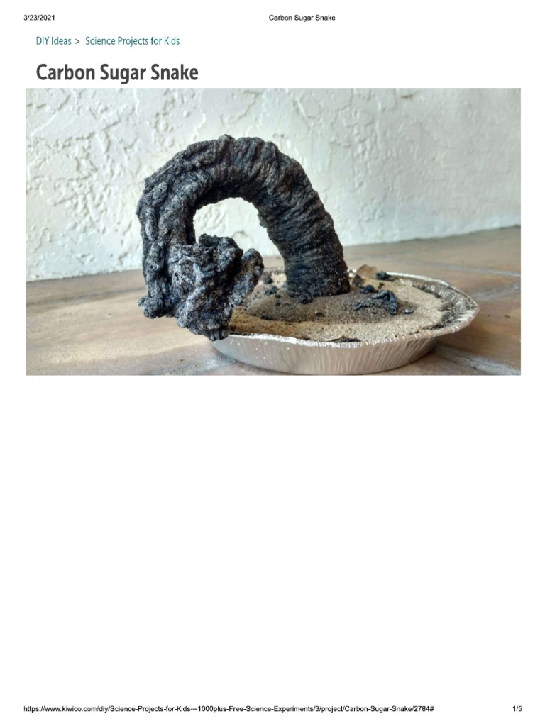 Carbon Sugar Snake Experiment | PDF