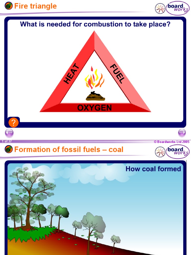 Formation Of Coal For Kids