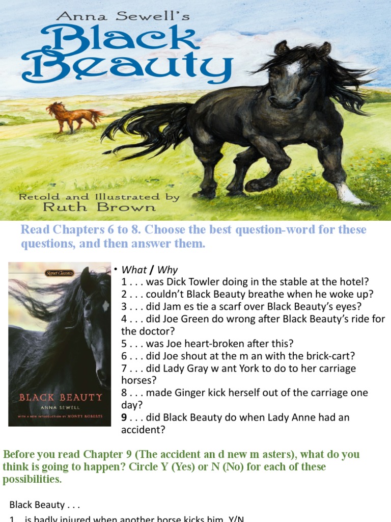 Black Beauty Chapters 6-8 Activity | PDF