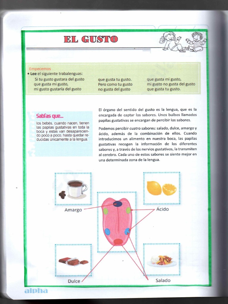 Ciencia El Gusto | PDF