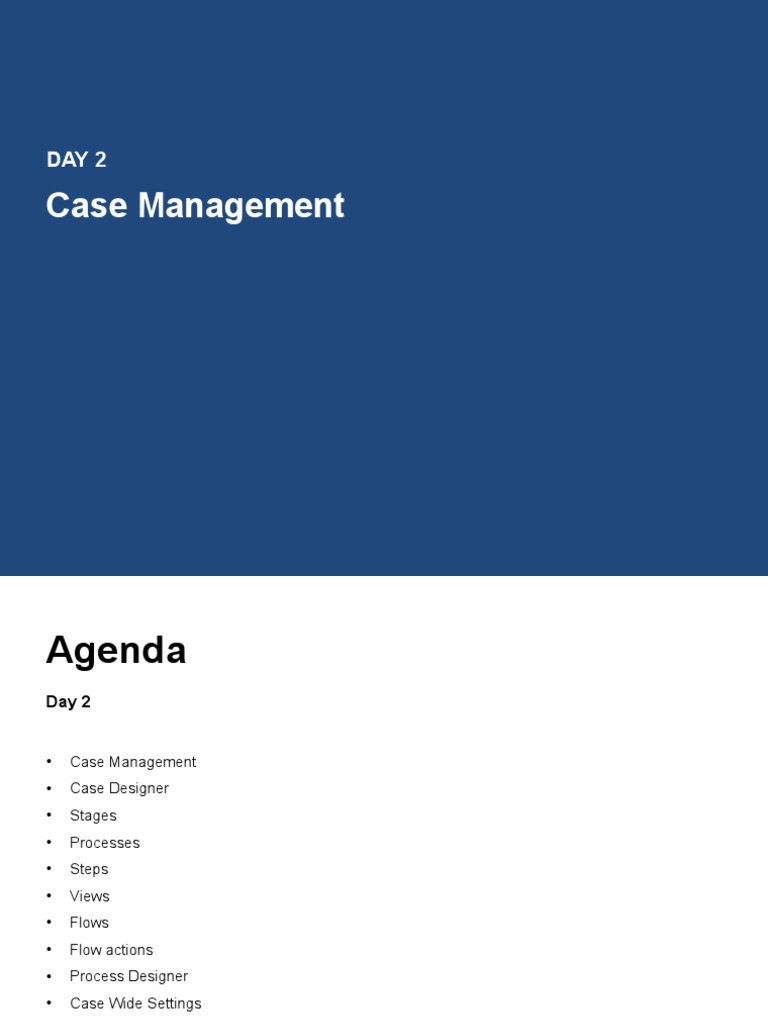 Pega Case Management Lifecycle Overview | PDF | Product Lifecycle ...