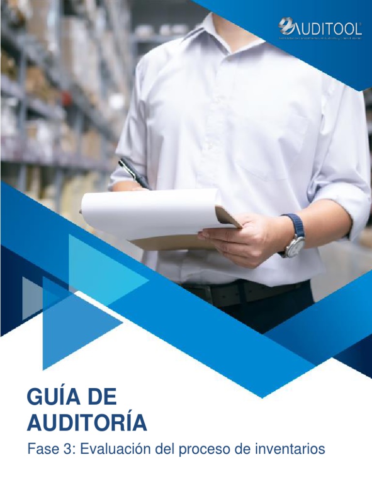 Auditoria Financiera - Tema 8.1.3 Realizable Guia de Auditoria Evaluacion Del Proceso de ...