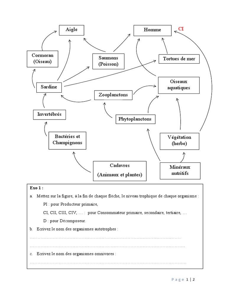 Compte Rendu TD2. Chaine Alimentaire | PDF