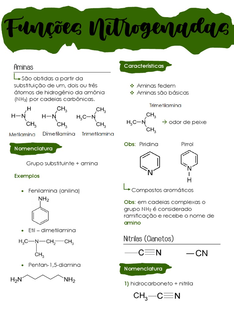 10 - Funções Nitrogenadas | PDF