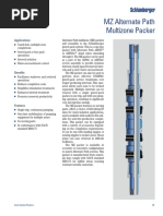Packer Dual Weatherford AROWDRILL | PDF | Equipment | Manufactured Goods