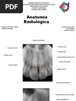 Anatomía de la Región Ciliar | PDF | Cabeza y cuello humanos | Anatomía