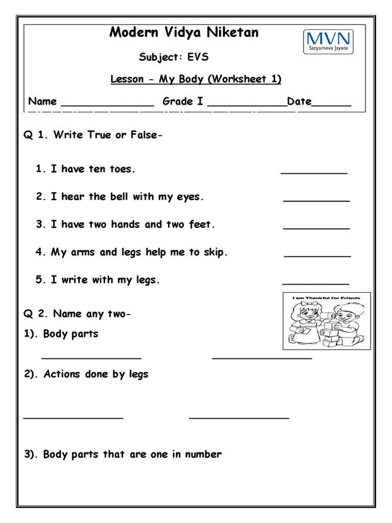 My Body Worksheet for Class 1 | PDF | Language Arts & Discipline ...