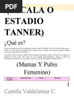 Escala de Tanner: Maduración Sexual | PDF | Pecho | Características ...