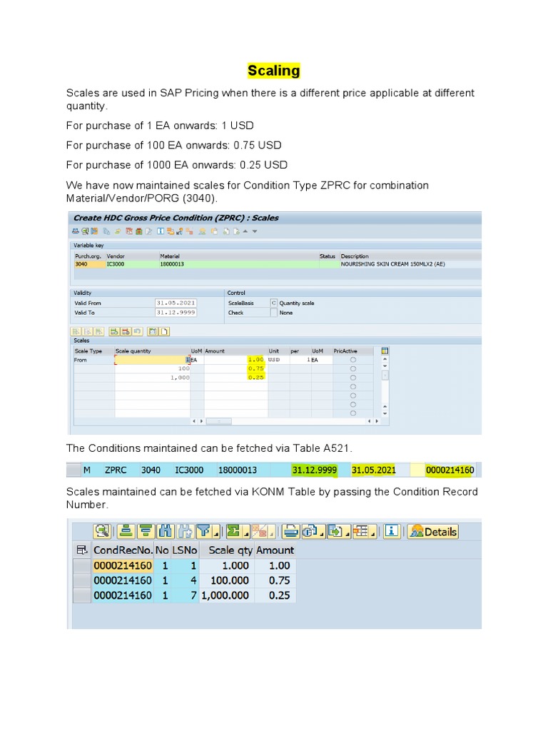Scaling Process | PDF