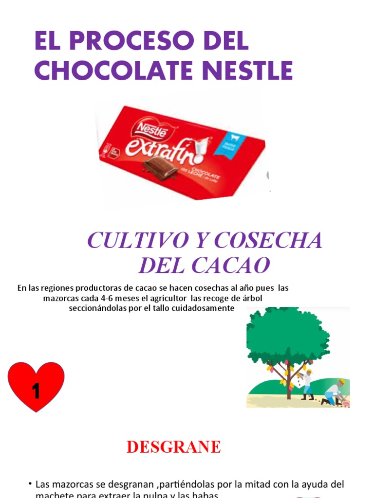 El Proceso Del Chocolate Nestle | PDF | Sólidos de cacao | Chocolate