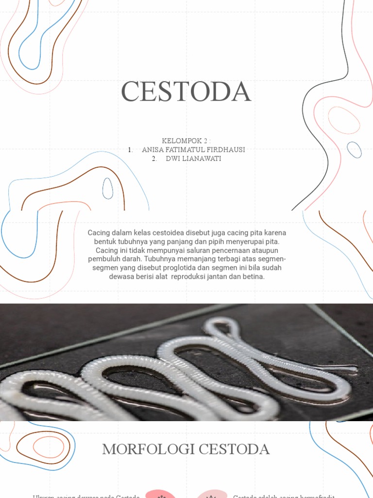 Cestoda Kel 2 | PDF