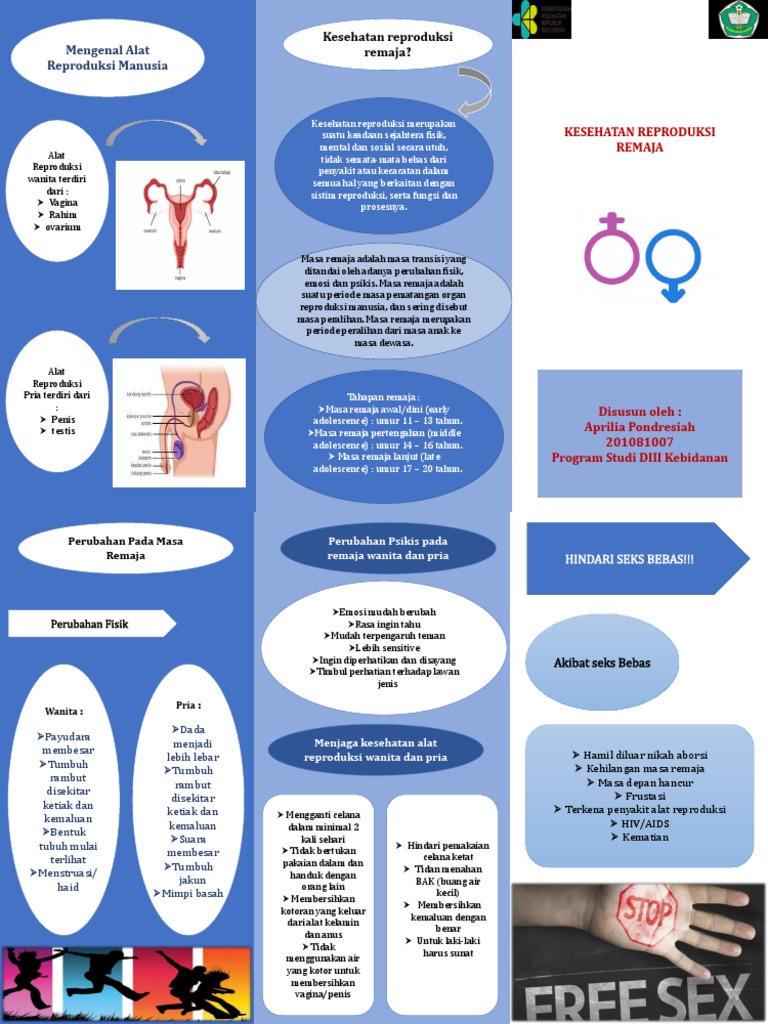Leaflet Kesehatan Reproduksi Remaja - Aprilia Pondresiah | PDF