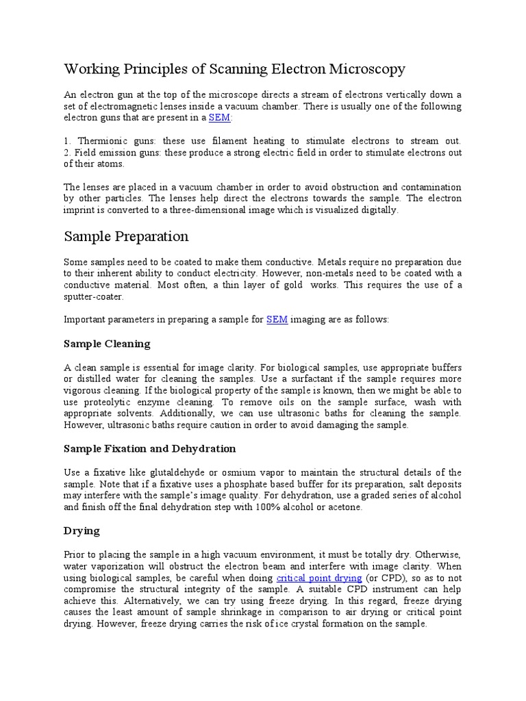 SEM Principle and Sample Preparation | PDF | Scanning Electron ...