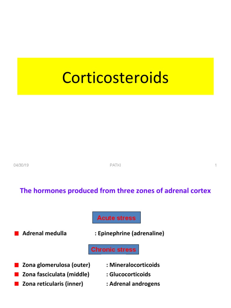 Corticosteroids | PDF | Adrenal Gland | Adrenocorticotropic Hormone