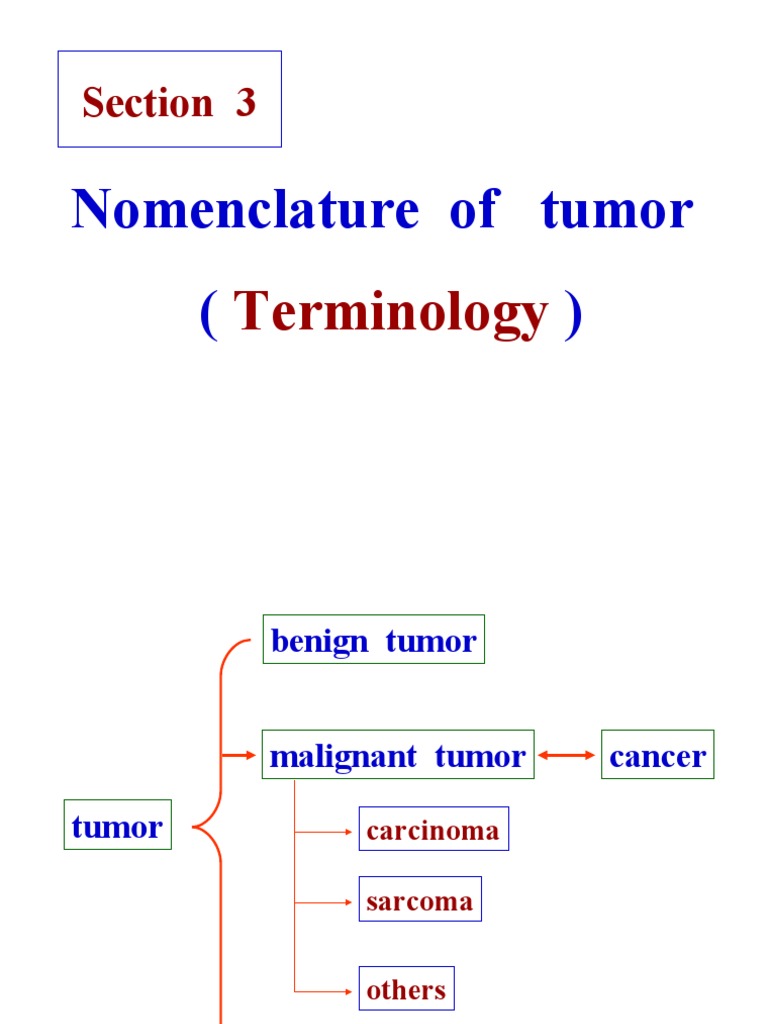 Section 3: Nomenclature of Tumor | PDF | Neoplasms | Carcinoma
