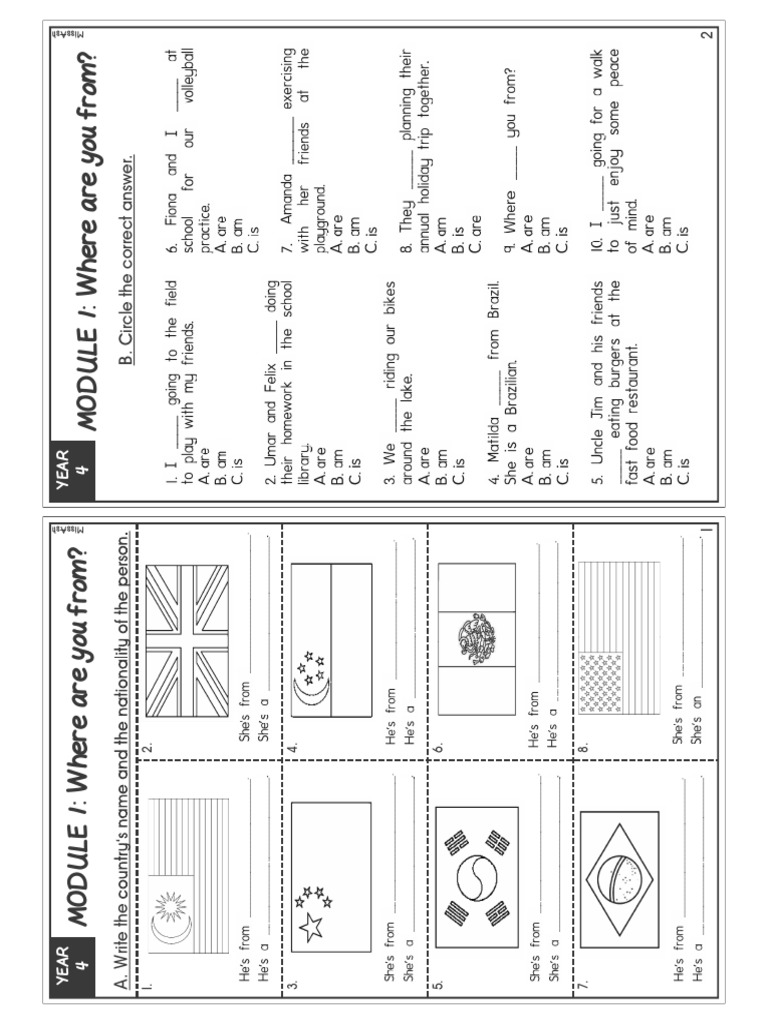 Worksheet 1 Year 4 English | PDF