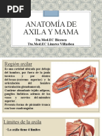 Niveles Axilares de Berg | PDF
