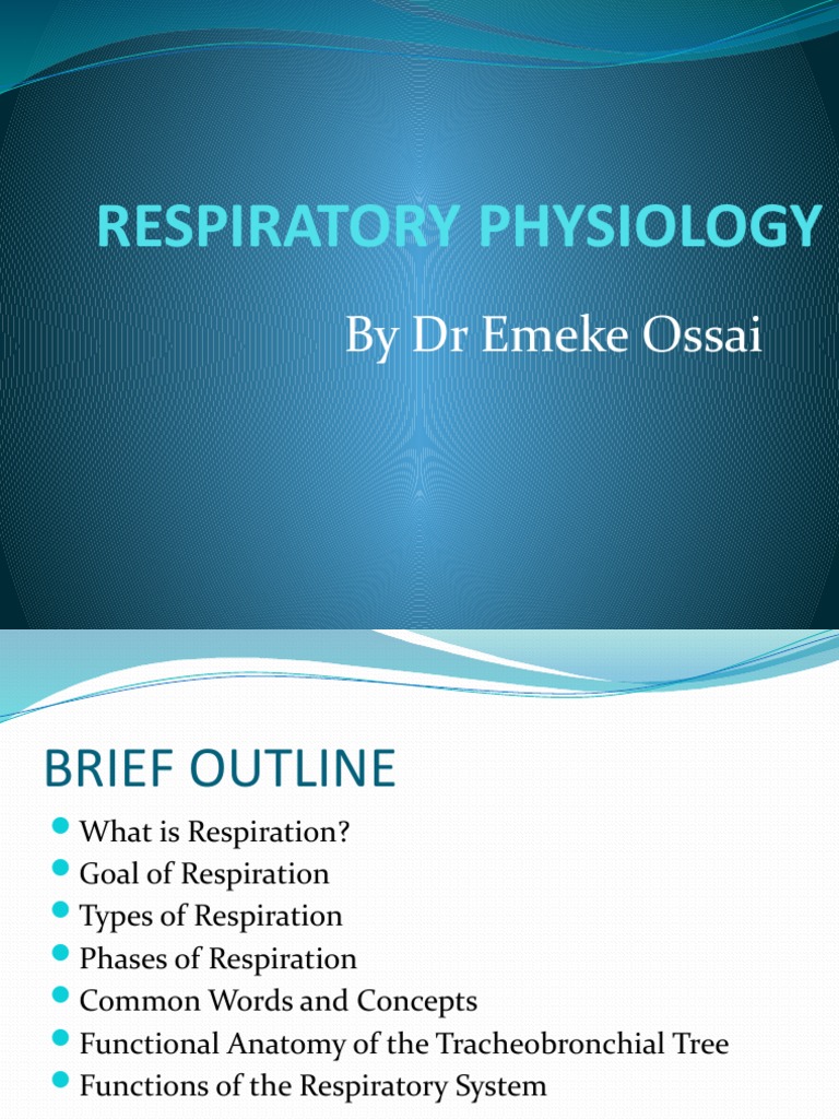 Introduction To Respiratory Physiology | PDF | Respiratory Tract ...