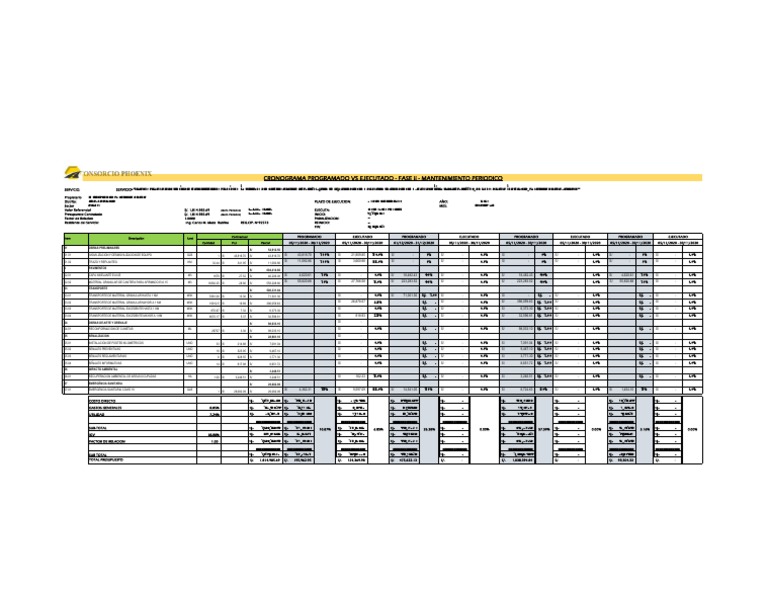 Cronograma Programado Vs Ejecutado - Fase Ii - Mantenimiento Periodico | PDF | Naturaleza