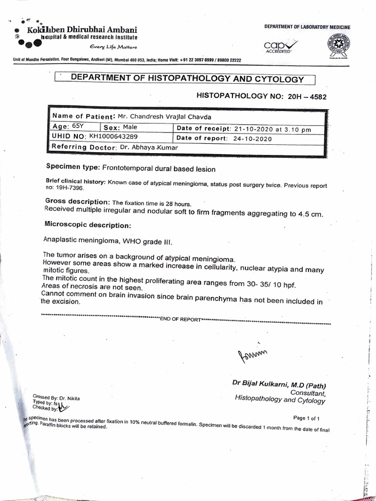 Histopathology Report - Oct 20 | PDF | Histopathology | Pathology