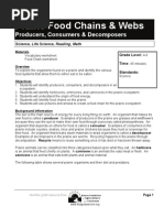 3rd Grade - Food Chain Worksheet | PDF