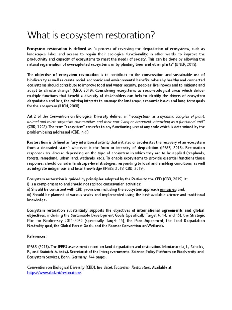 What Is Ecosystem Restoration | PDF | Restoration Ecology | Biodiversity
