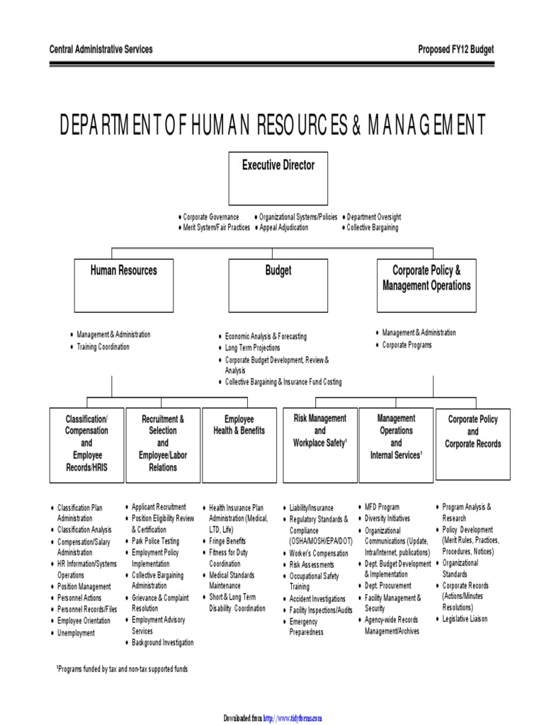 Human Resources Organizational Chart 4 | PDF | Human Resources | Employment