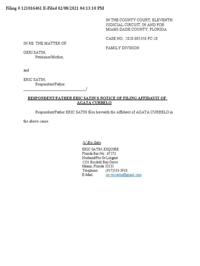 Affidavit of Agata Curbelo | PDF | Pro Se Legal Representation In The ...