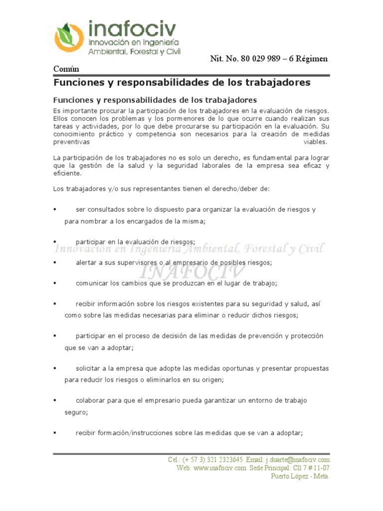 Funciones de Los Trabajadores Hse | PDF | Evaluación | Business