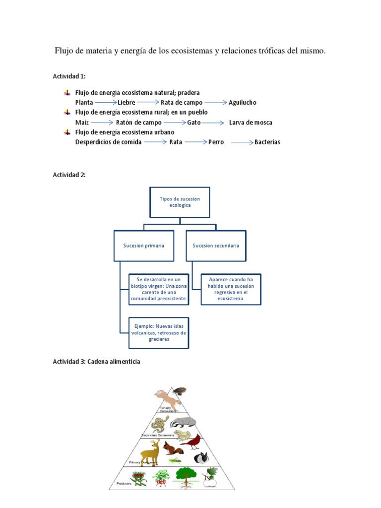 Flujo de Materia y Energía de Los Ecosistemas y Relaciones Tróficas Del ...