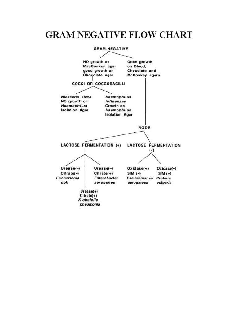 Gram Negative Flow Chart Pdf